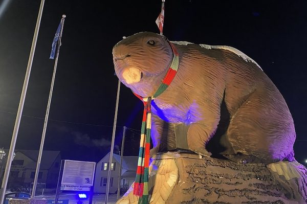 Beaverlodge beaver receives name! - Town & Country News