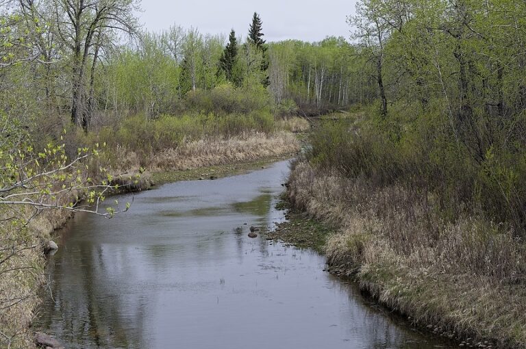 Beaverlodge water supply safe, despite drought conditions - Town ...