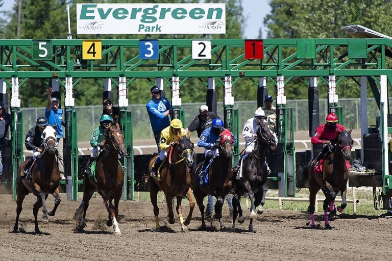 PHOTOS: The Horses at Evergreen Park - Town & Country News