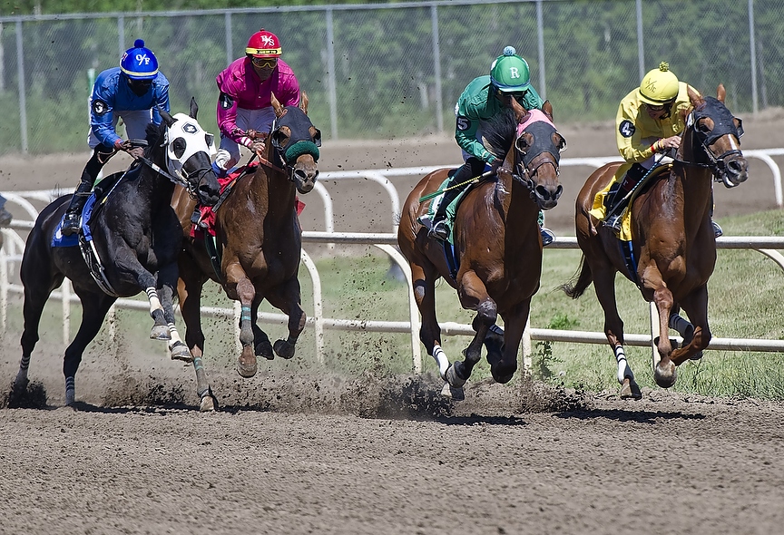 PHOTOS: The Horses at Evergreen Park - Town & Country News