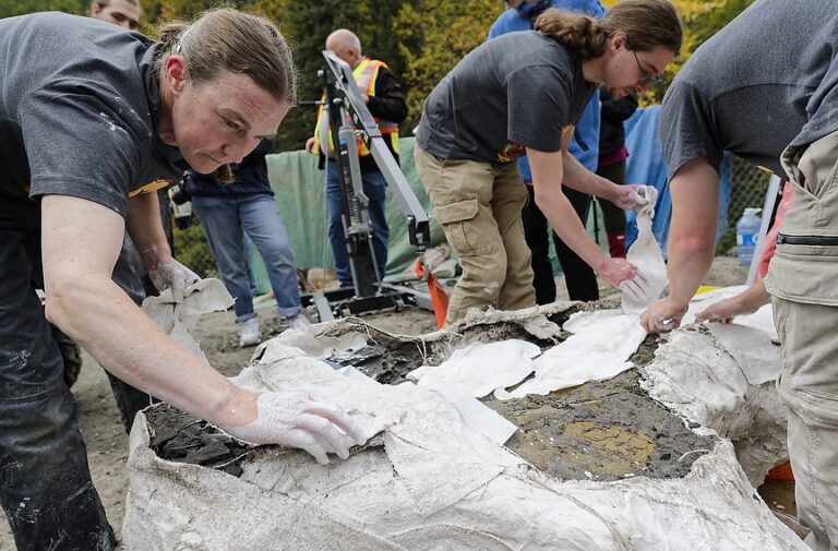 73 million years in the making dinosaur skull unearthed in Pipestone ...