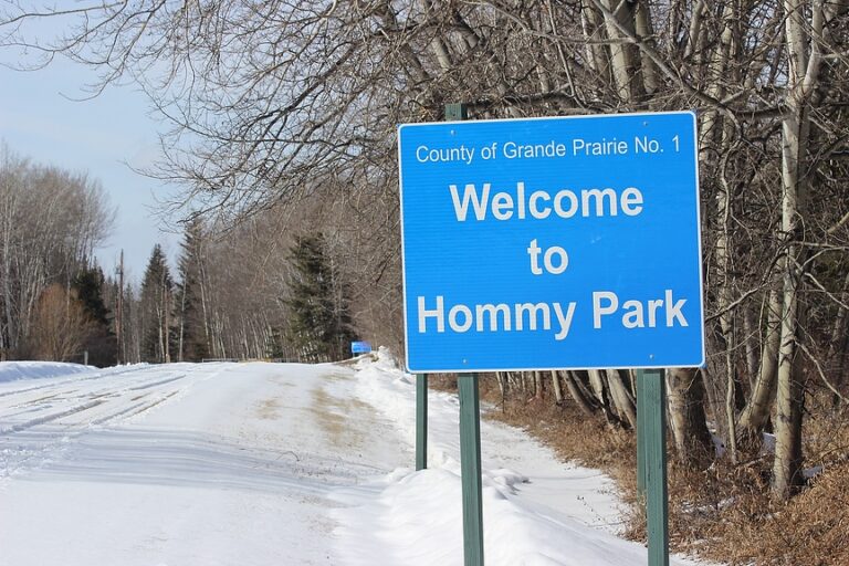 Hommy Park preserved - Town & Country News